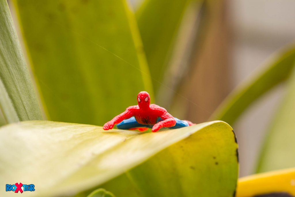 Spider-Man In the Garden | Rio X Teir