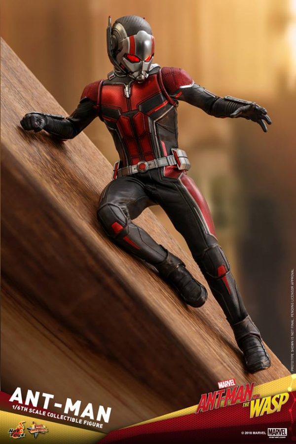 Hot Toys 1/6th scale Ant-Man Collectible Figure [Ant-Man and The Wasp ...