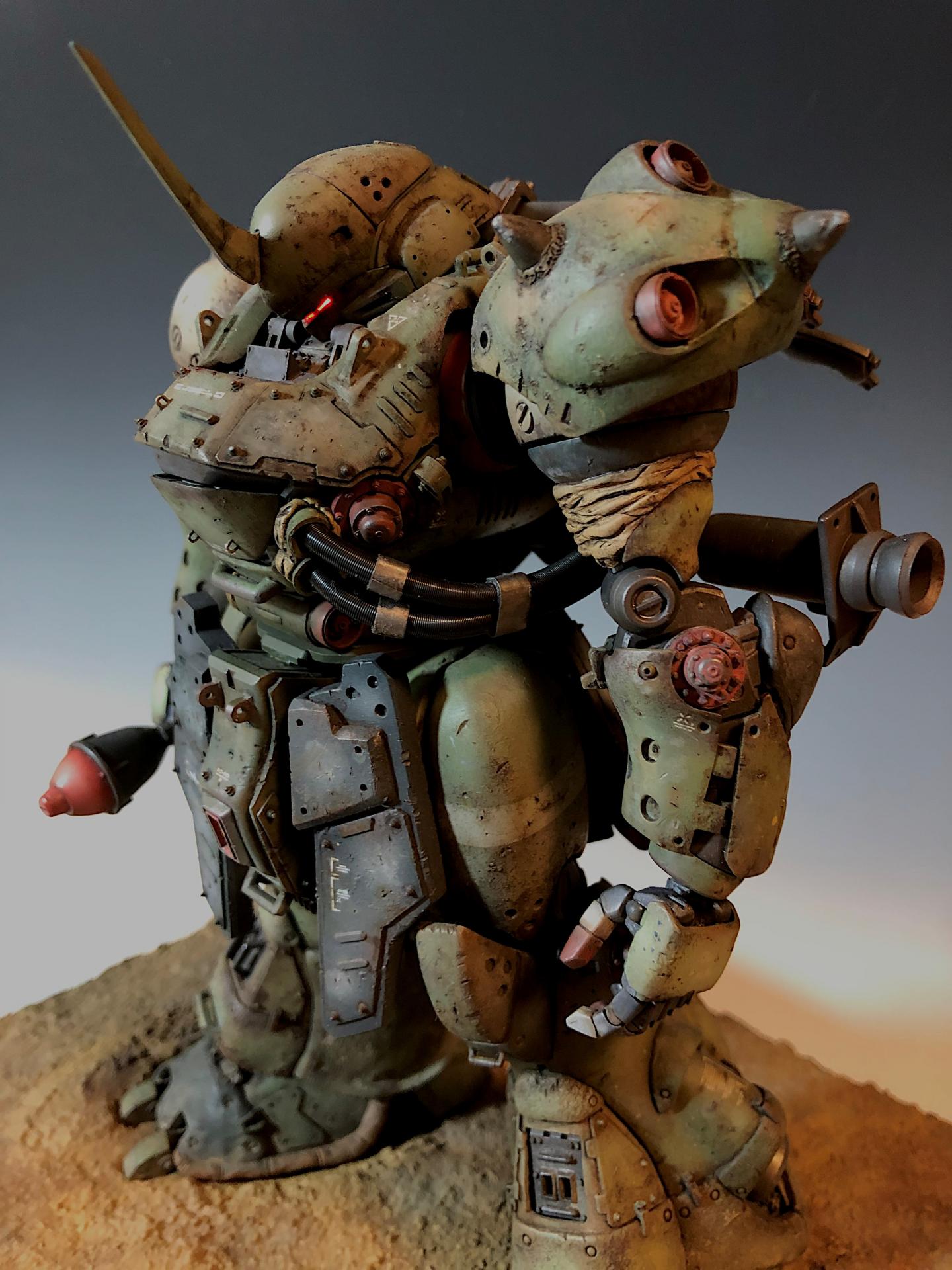 MG 1/100 MS-18E Kampfer Repaired Custom Work by baby19730911 | Rio X Teir